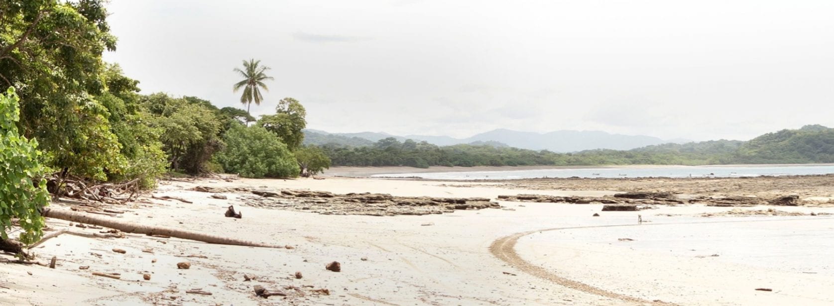 Discover Nosara | Bodhi Tree Yoga Resort | Costa Rica