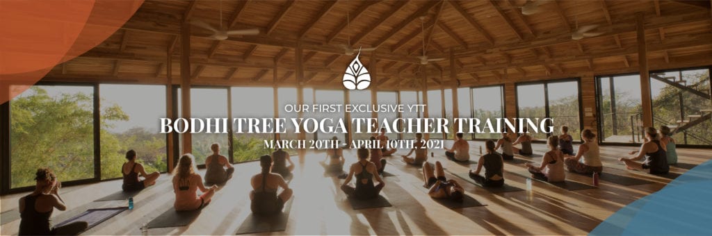Bodhi Tree Yoga Teacher Training In Partnership with iLa Yoga® - Bodhi ...