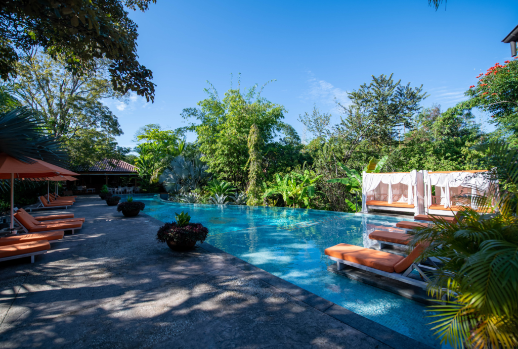 Bodhi Tree Signature retreat - Bodhi Tree Yoga Resort