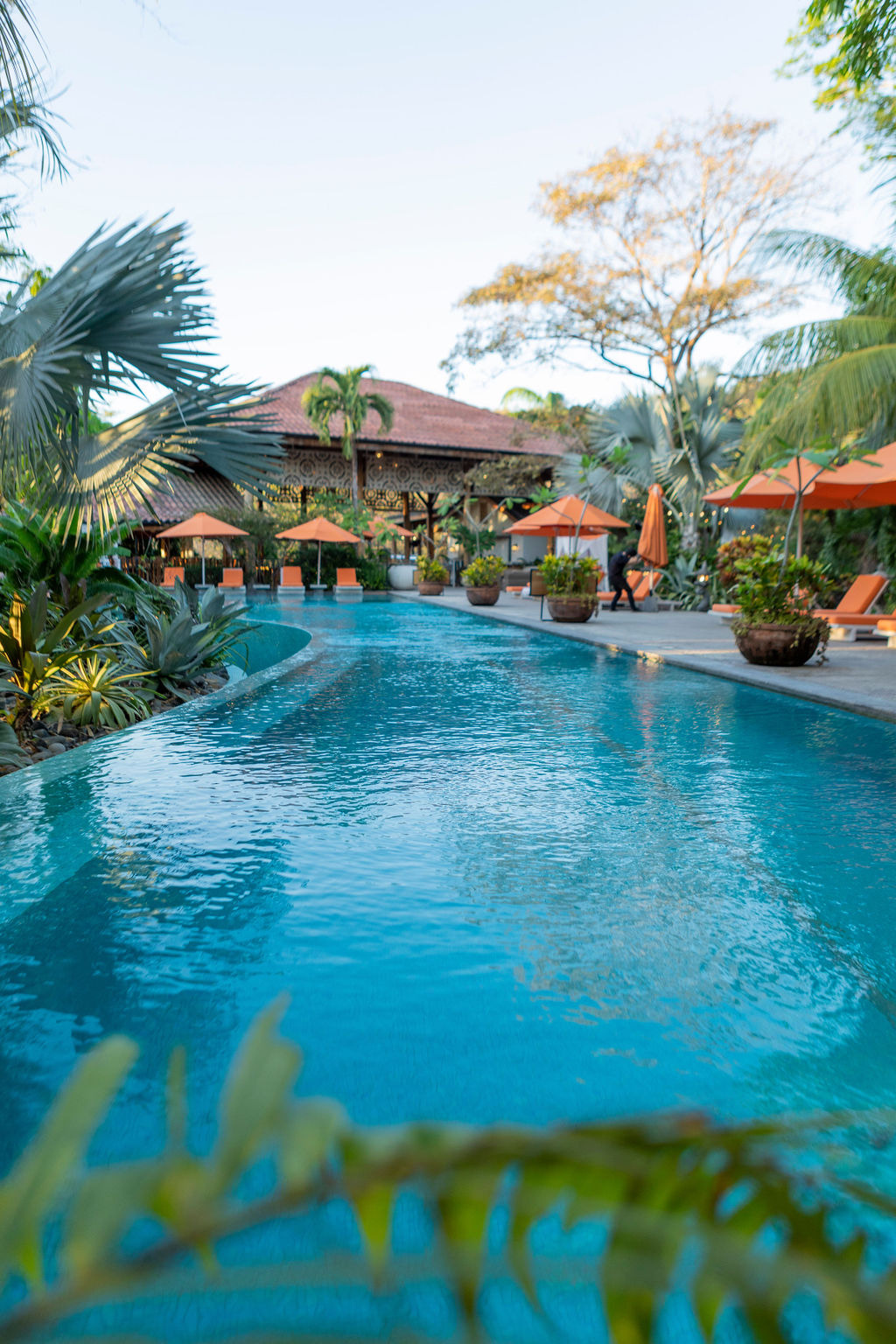 BODHI TREE SIGNATURE RETREAT - Bodhi Tree Yoga Resort