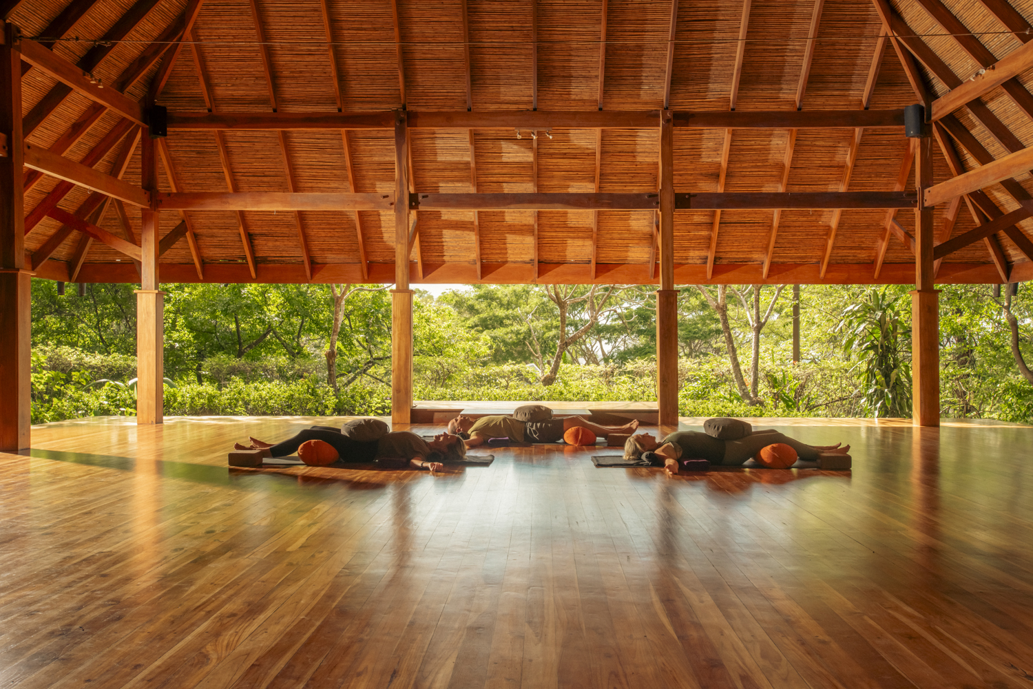Bodhi Tree Signature Retreat March - Bodhi Tree Yoga Resort